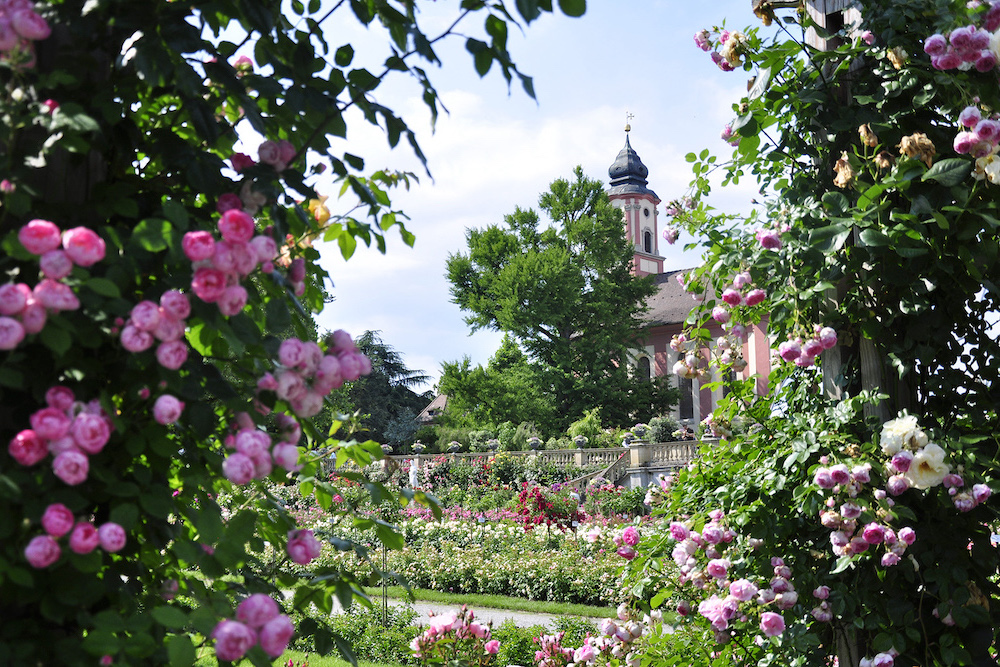 Die Blumeninsel Mainau im Bodensee - reiseaktuell.at